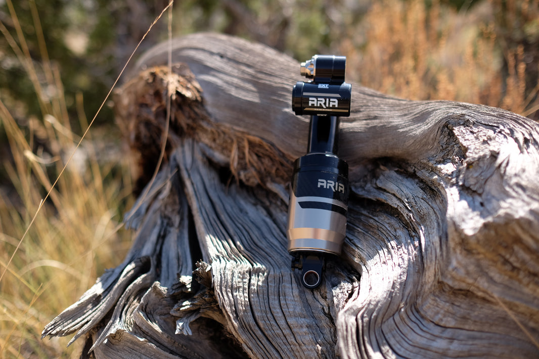 MTB SUSPENSION – EXT-USA