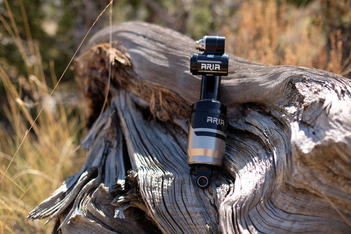 MTB SUSPENSION – EXT-USA