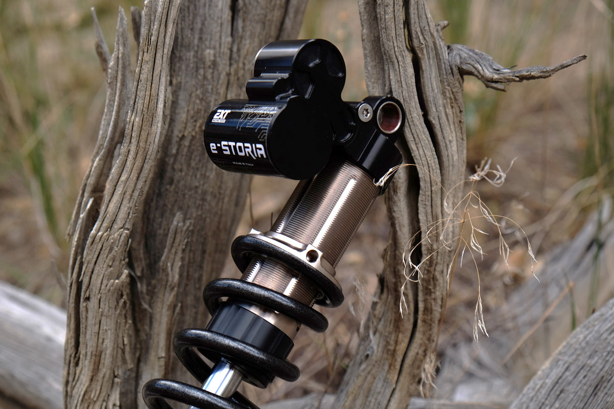 EXT e-Storia – EXT-USA